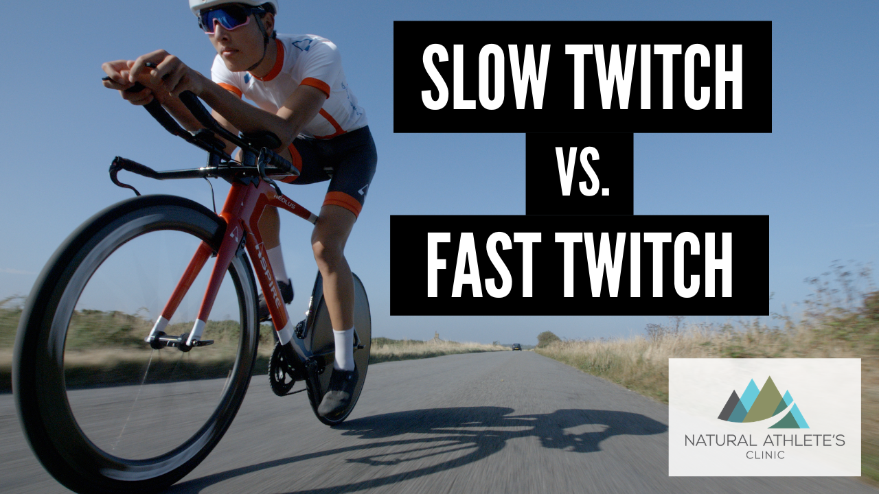 Fast And Slow Twitch Muscle Fibers
